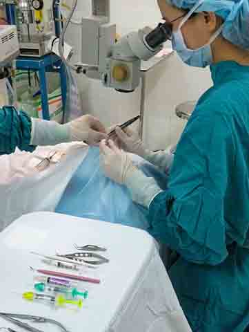 PHFI CEHJ » Assisting during microsurgery: tips for success