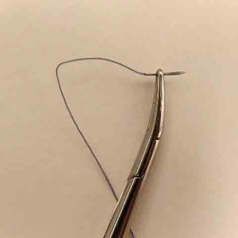PHFI CEHJ » Passing sutures